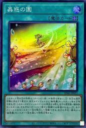 [高雄轉交廚] SD45-JP023 蟲惑之園 (亮面) | 露天市集 | 全台最大的網路購物市集