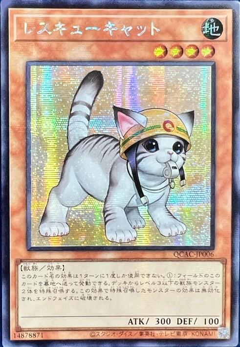 [高雄轉交廚] 日紙 QCAC-JP006 救援貓 (異圖半鑽) | 露天市集 | 全台最大的網路購物市集