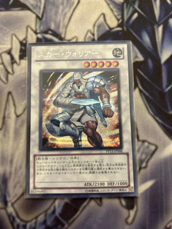 PP13-JP008 傷痕戰士 (半鑽) | 露天市集 | 全台最大的網路購物市集