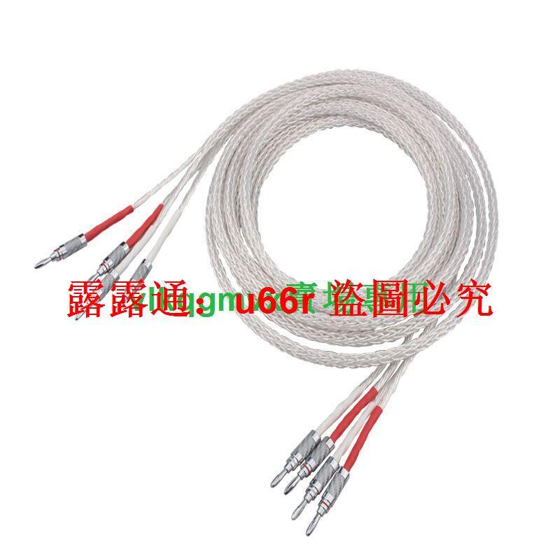 「超低價」xangsane 8AG純銀髮燒級喇叭線鍍銀主音響線HIFI線音箱線包郵[1110621] | 露天市集 | 全台最大的網路購物市集