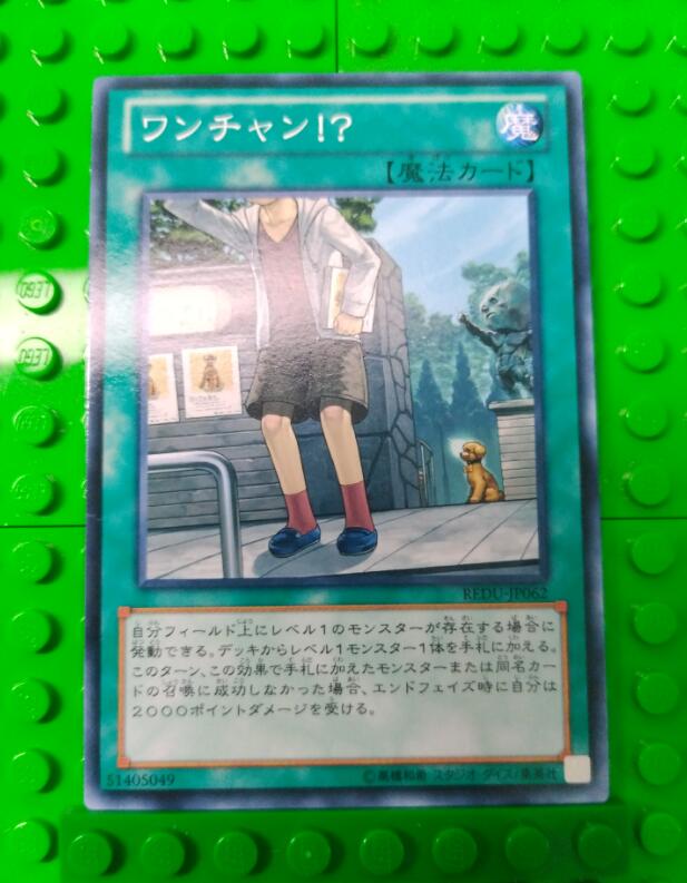 松鼠棒 遊戲王 REDU-JP062 唯一機會！？(尋找小汪,汪分之一機會) 普卡 | 露天市集 | 全台最大的網路購物市集