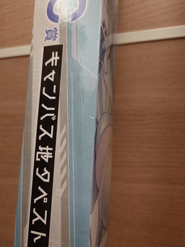 一番賞 勝利女神 妮姬：NIKKE CHAPTER4 第四彈 第4彈 C賞 灰姑娘 A2 帆布掛軸 日版 nikke單售 | 露天市集 | 全台最大的網路購物市集