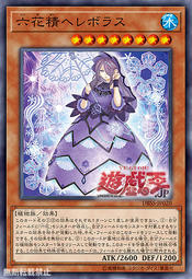 DBSS-JP020 六花精聖誕玫瑰 | 露天市集 | 全台最大的網路購物市集