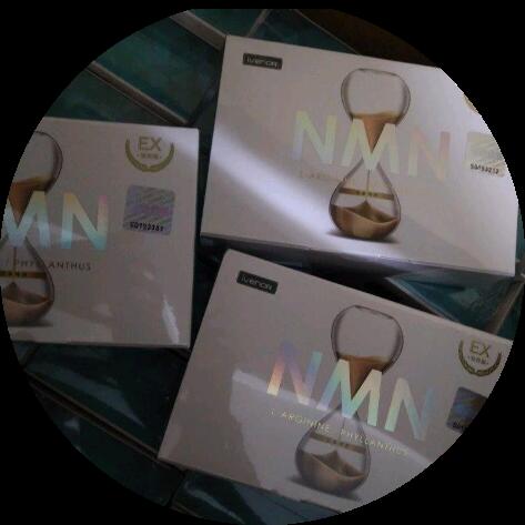 iVENOR 首創NMN EX版元氣錠(30粒/盒) 大老闆聯盟推薦TOP1 升級一氧化氮 | 露天市集 | 全台最大的網路購物市集