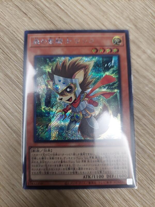 〔謝上位卡舖〕25PP-JP008 森之聖騎士 小汪 半鑽 | 露天市集 | 全台最大的網路購物市集