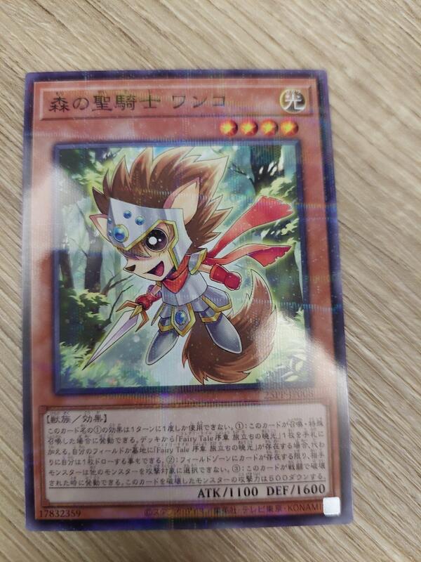 〔謝上位卡舖〕25PP-JP008 森之聖騎士 小汪 普鑽 | 露天市集 | 全台最大的網路購物市集