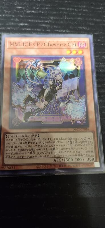 DBCB-JP016 碼麗絲＜士兵＞柴郡貓 亮面 | 露天市集 | 全台最大的網路購物市集